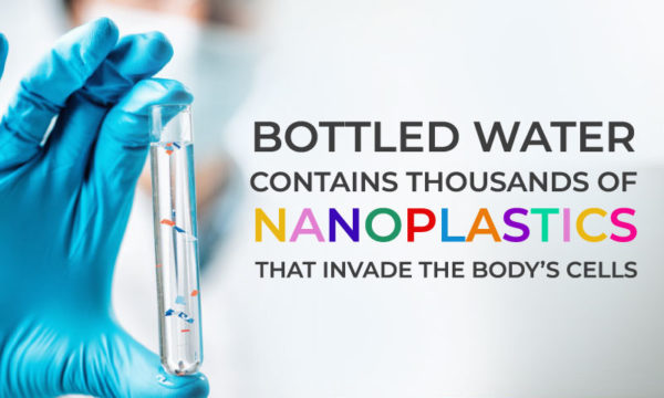 Bottled Water Contains Thousands of Nanoplastics that Invade the Body’s ...